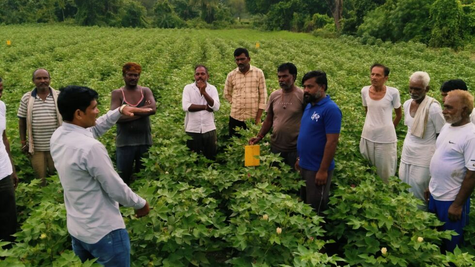 Our Work | Syngenta Foundation India