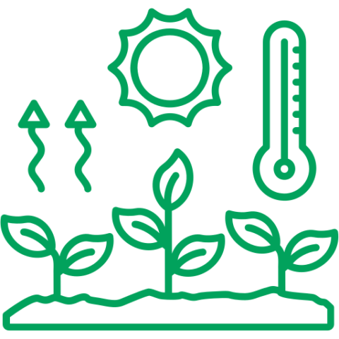 Syngenta Foundation India – Sustainable Agriculture
