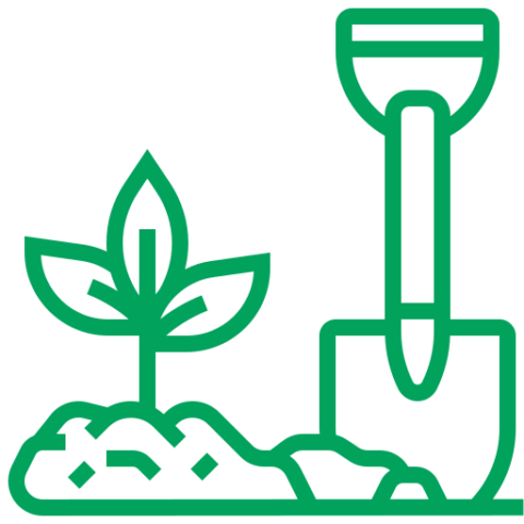 Our Work | Syngenta Foundation India